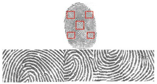 LFLDNet: Lightweight Fingerprint Liveness Detection Based on ResNet and ...