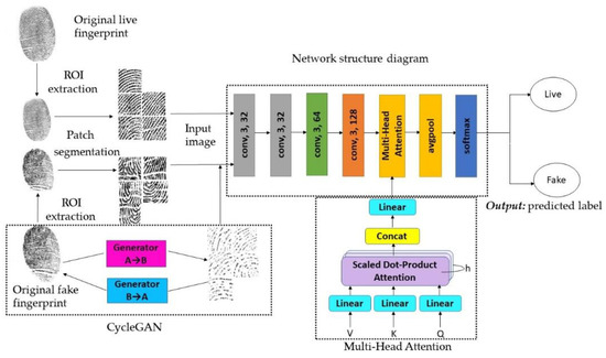 LFLDNet: Lightweight Fingerprint Liveness Detection Based on ResNet and Transformer