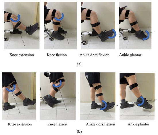 Mechanomyography Signal Pattern Recognition of Knee and Ankle Movements ...