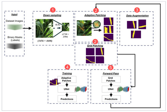 The NWRD Dataset: An Open-Source Annotated Segmentation Dataset of Diseased Wheat Crop