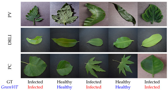 Visual Intelligence in Precision Agriculture: Exploring Plant Disease ...