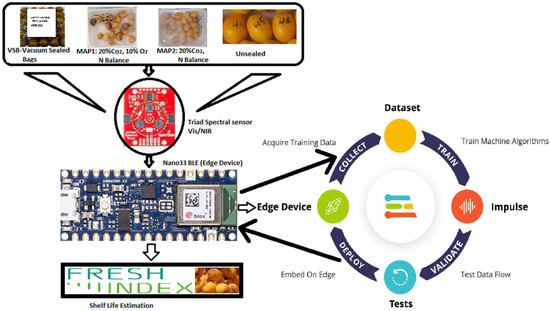 Sensors | Free Full-Text | TinyML-Sensor for Shelf Life Estimation of Fresh Date Fruits