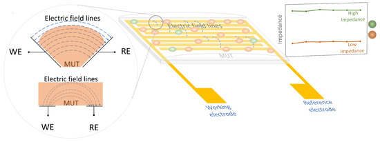 Sensors | Free Full-Text | Electrochemical and Optical Sensors for Real ...