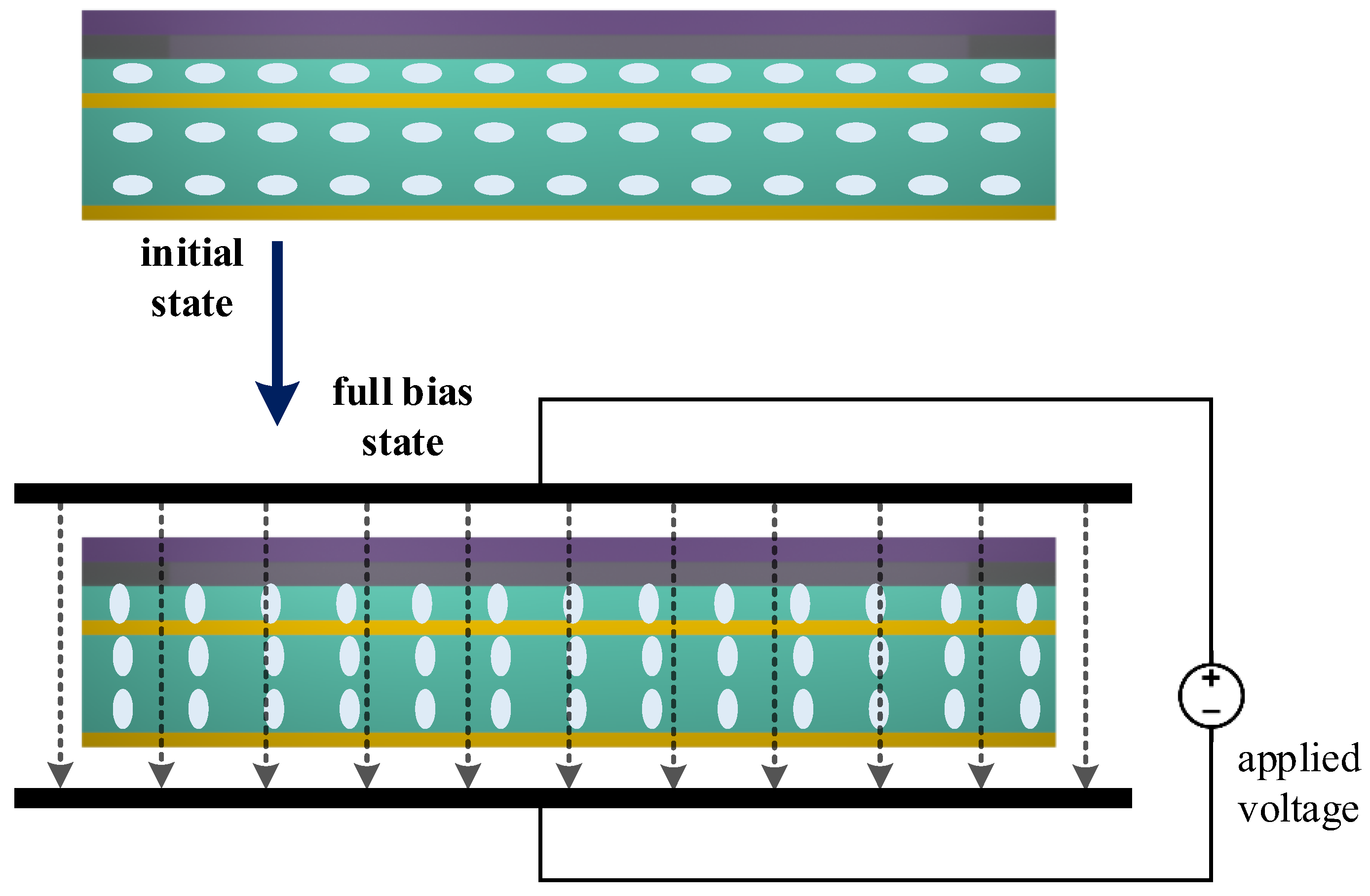 A Liquid Crystal-Modulated Metastructure Sensor for Biosensing
