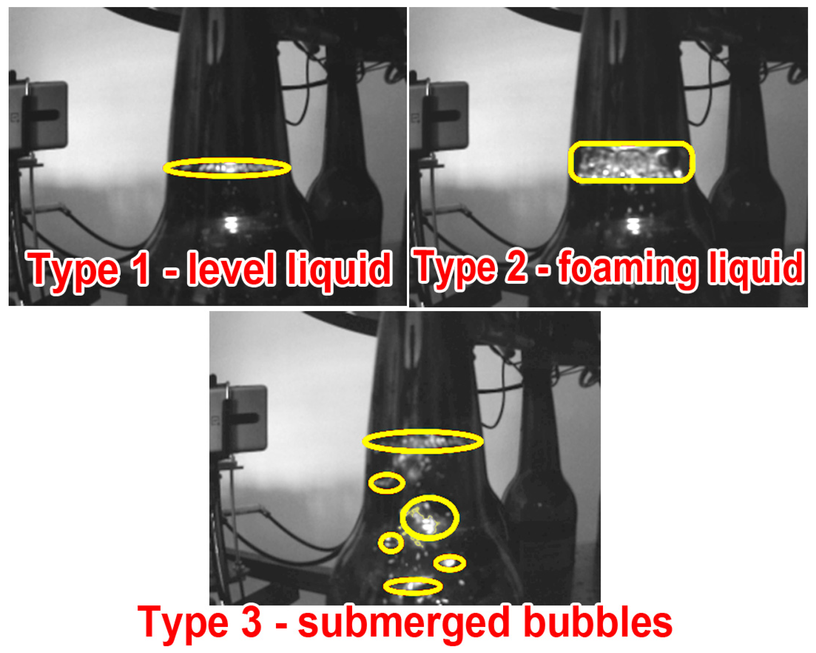 Sensors | Free Full-Text | Image-Based Sensor for Liquid Level Monitoring during Bottling with ...