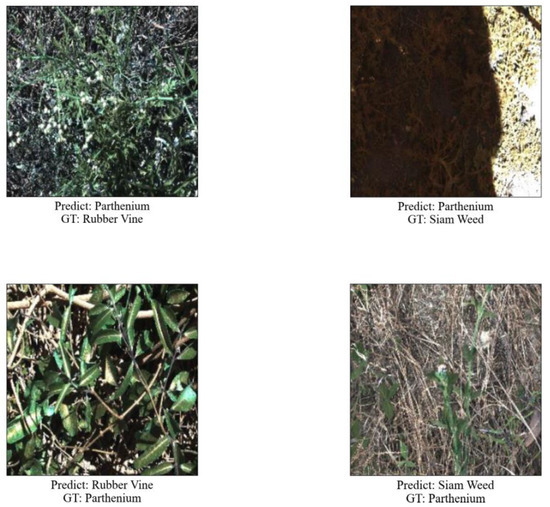 Multi-Class Weed Recognition Using Hybrid CNN-SVM Classifier