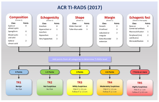 Explainable Automated TI-RADS Evaluation of Thyroid Nodules