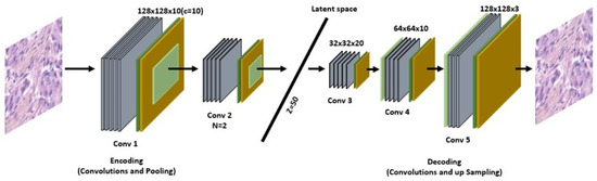 Breast Cancer Histopathological Images Segmentation Using Deep Learning