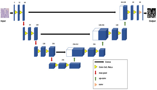 Breast Cancer Histopathological Images Segmentation Using Deep Learning