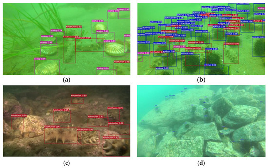 Underwater Target Detection Based on Parallel High-Resolution Networks