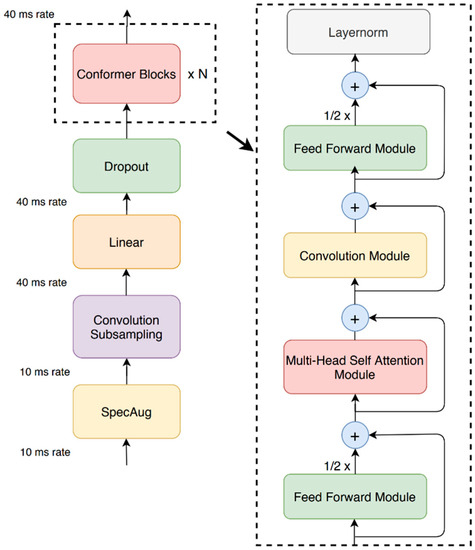 Conformer-Based Human Activity Recognition Using Inertial Measurement Units