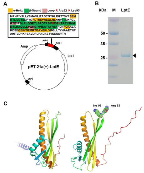 Single-Cell Detection of Erwinia amylovora Using Bio-Functionalized SIS ...