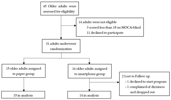 Smartphone- and Paper-Based Delivery of Balance Intervention for Older ...