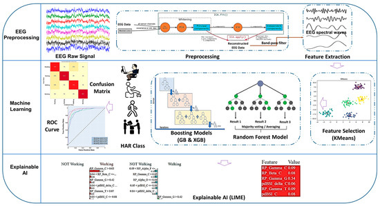 An Explainable EEG-Based Human Activity Recognition Model Using Machine ...