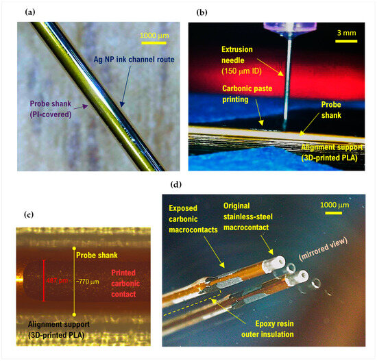 Functional Enhancement and Characterization of an Electrophysiological ...