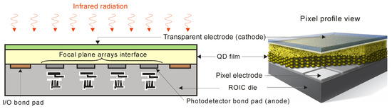 Infrared HOT Photodetectors: Status and Outlook