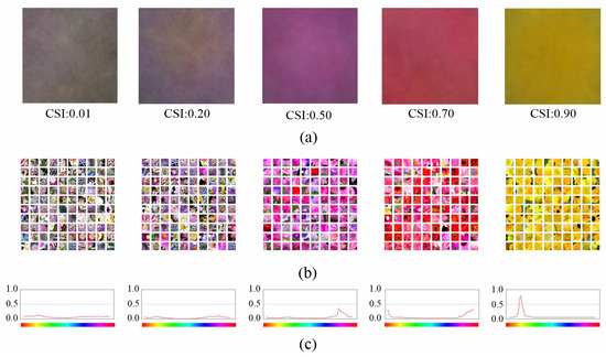 A Long Skip Connection for Enhanced Color Selectivity in CNN Architectures