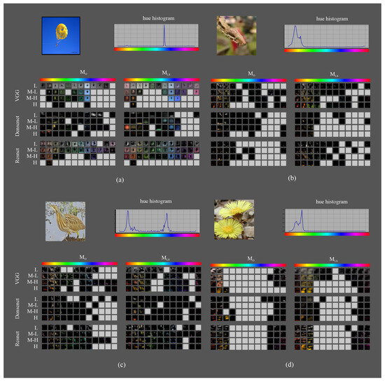 A Long Skip Connection for Enhanced Color Selectivity in CNN Architectures