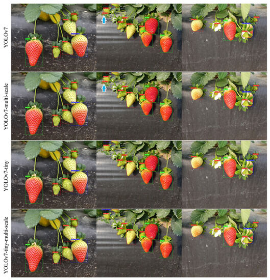 Real-Time Detection of Strawberry Ripeness Using Augmented Reality and Deep Learning