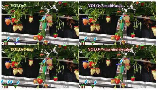 Real-Time Detection of Strawberry Ripeness Using Augmented Reality and Deep Learning