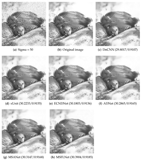 Multi-Scale Feature Learning Convolutional Neural Network for Image Denoising