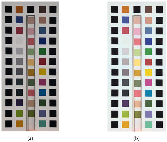Development of a Cloud-Based Image Processing Health Checkup System for ...
