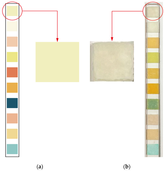 Development of a Cloud-Based Image Processing Health Checkup System for ...