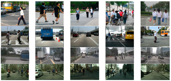 An Improved YOLOv5 Algorithm for Vulnerable Road User Detection