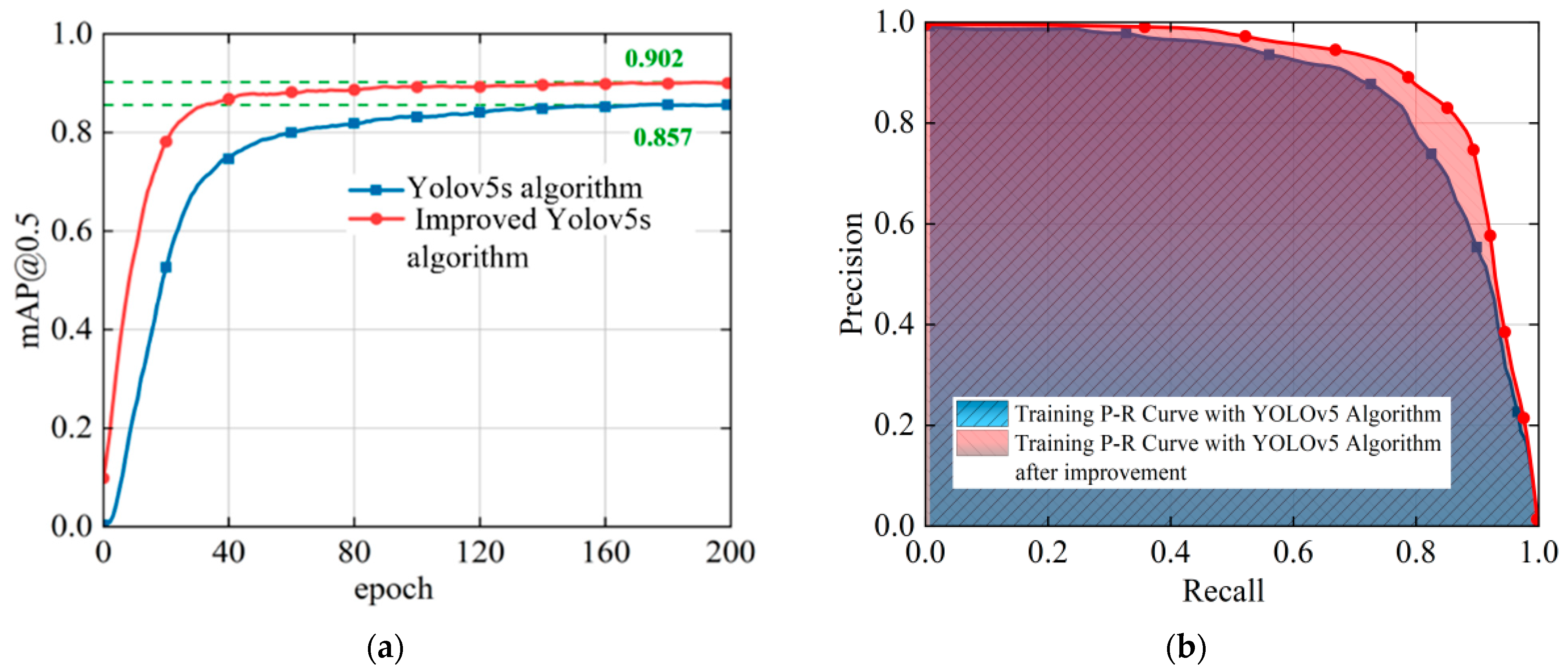 An Improved YOLOv5 Algorithm for Vulnerable Road User Detection