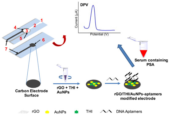 Paper-Based Aptasensors: Working Principles, Detection Modes, and ...