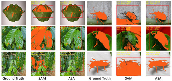 Enhancing Agricultural Image Segmentation with an Agricultural Segment Anything Model Adapter