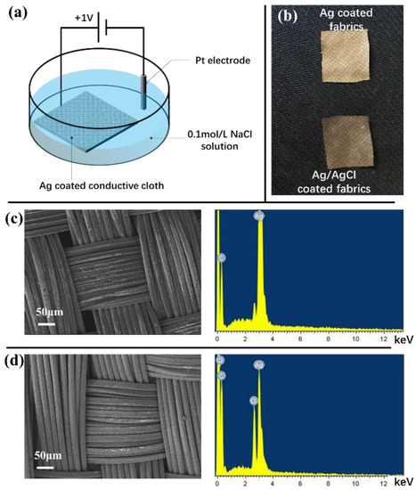 A Film Electrode upon Nanoarchitectonics of Bacterial Cellulose and ...
