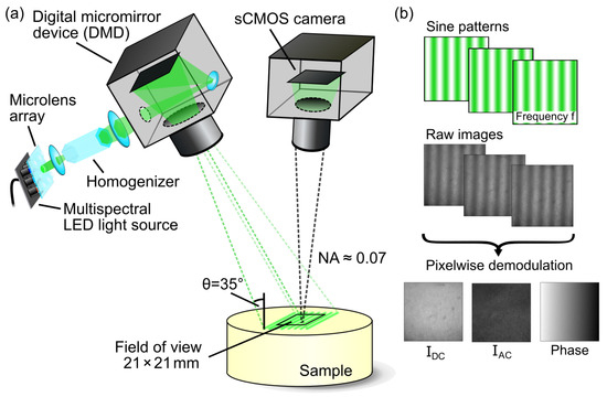 Generic and Model-Based Calibration Method for Spatial Frequency Domain ...