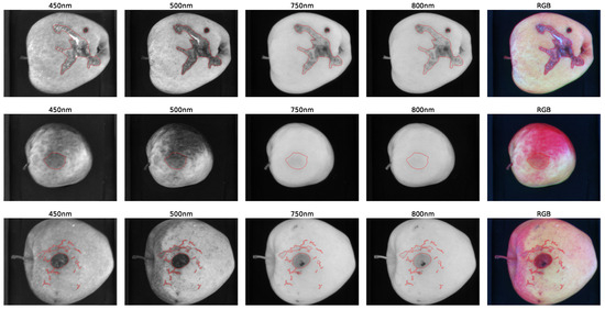 Quasi Real-Time Apple Defect Segmentation Using Deep Learning