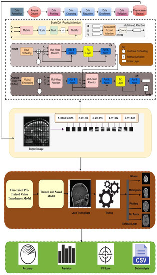 Advancing Brain Tumor Classification through Fine-Tuned Vision ...