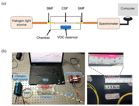 Low-Cost ZnO Spray-Coated Optical Fiber Sensor for Detecting VOC ...