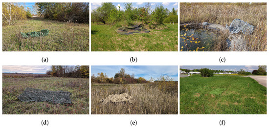 Measuring and Predicting Sensor Performance for Camouflage Detection in ...