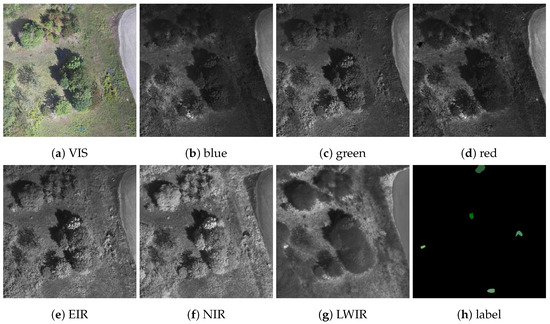 Measuring and Predicting Sensor Performance for Camouflage Detection in ...