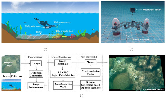 Shallow Marine High-Resolution Optical Mosaics Based on Underwater ...