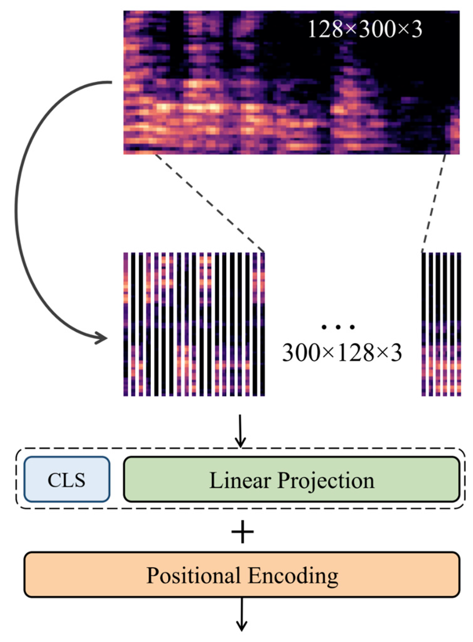 TranStutter: A Convolution-Free Transformer-Based Deep Learning Method to Classify Stuttered ...