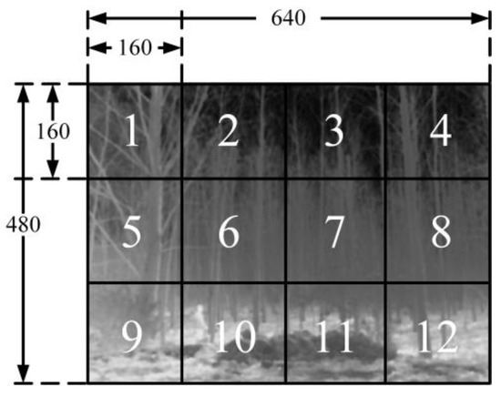 Sensors | Free Full-Text | Multi-Scale FPGA-Based Infrared Image Enhancement by Using RGF and CLAHE
