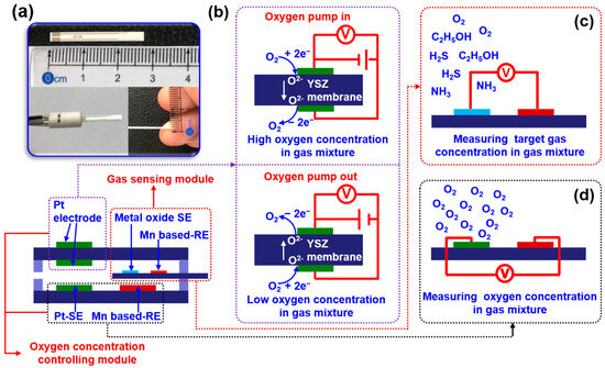 Integrated Smart Gas Tracking Device with Artificially Tailored ...