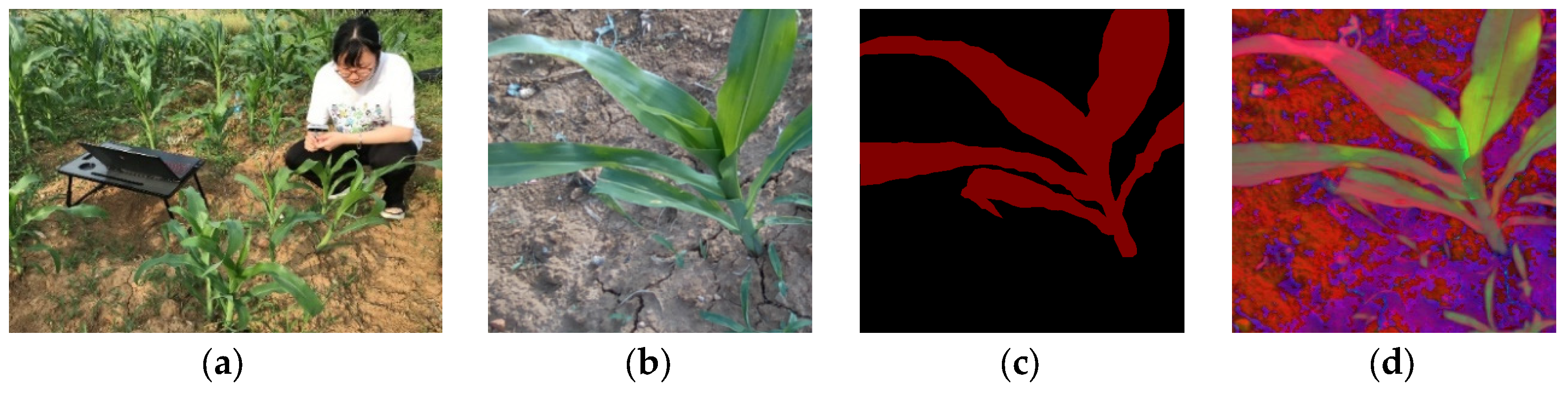Sensors | Free Full-Text | A New Semantic Segmentation Framework Based on UNet