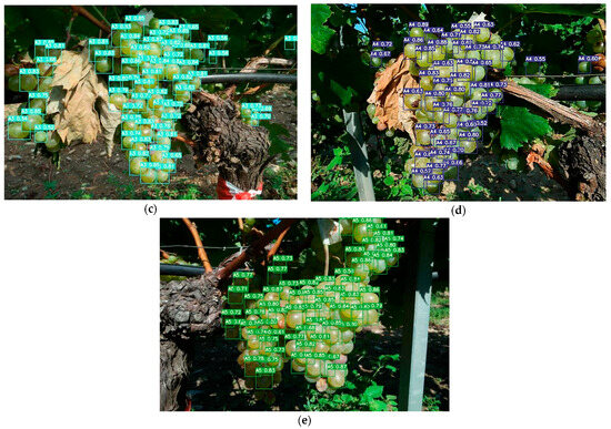 Sensors | Free Full-Text | A Deep Learning Approach for Precision Viticulture, Assessing Grape ...