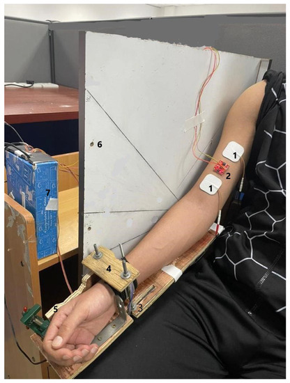 Effect of Forearm Postures and Elbow Joint Angles on Elbow Flexion Torque and Mechanomyography ...