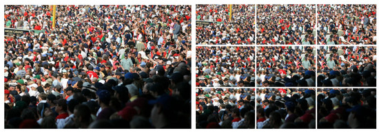 Foreground Segmentation-Based Density Grading Networks for Crowd Counting