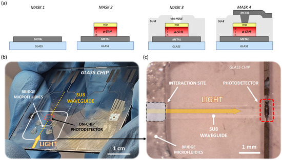 Sensitive and Compact Evanescent-Waveguide Optical Detector for Sugar ...