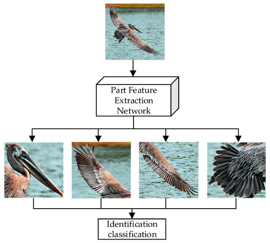 Research on Fine-Grained Image Recognition of Birds Based on Improved YOLOv5