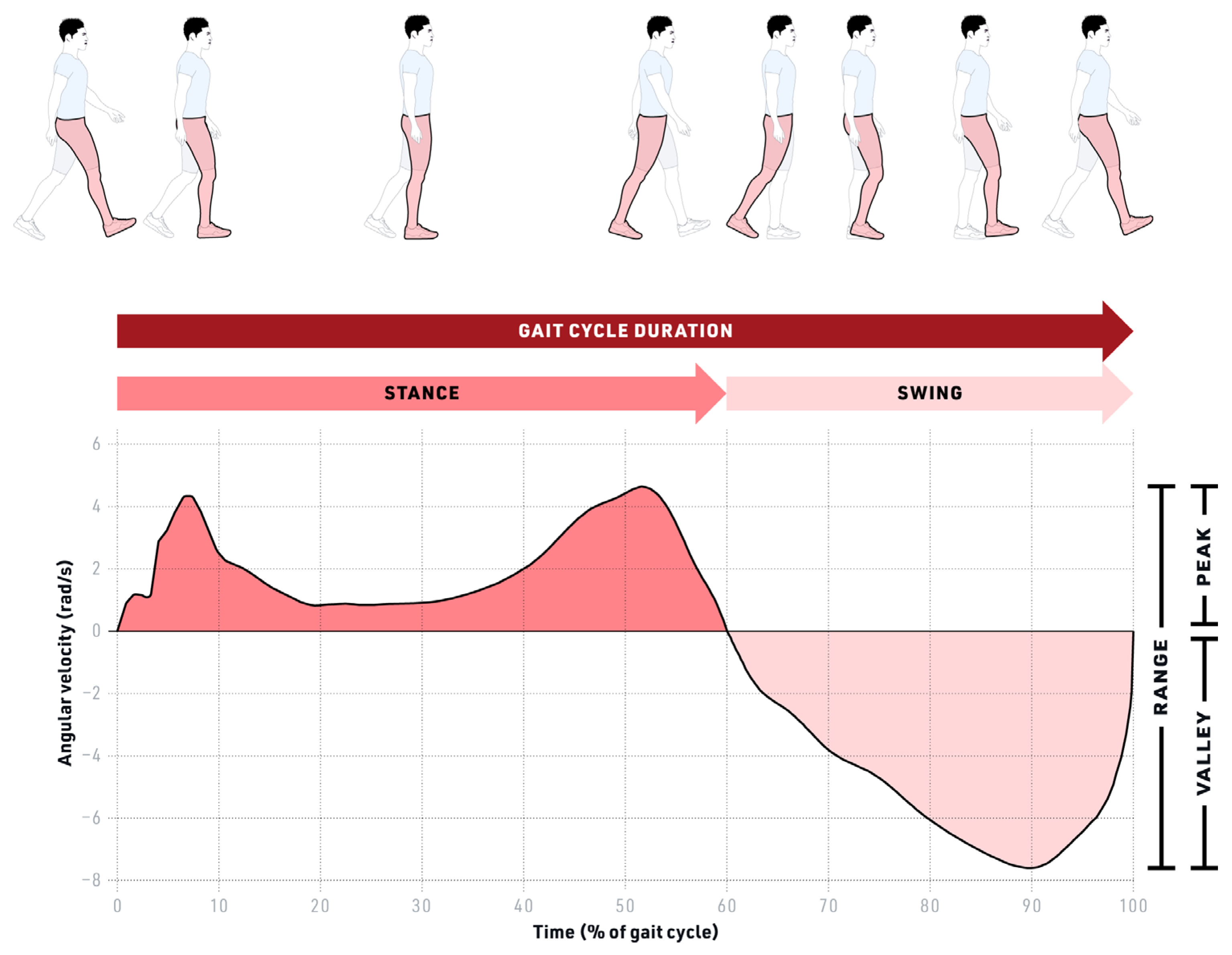 Enhancing Wearable Gait Monitoring Systems: Identifying Optimal ...