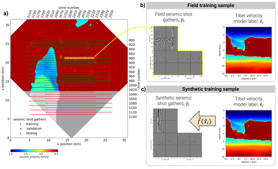 Learning-Based Seismic Velocity Inversion with Synthetic and Field Data